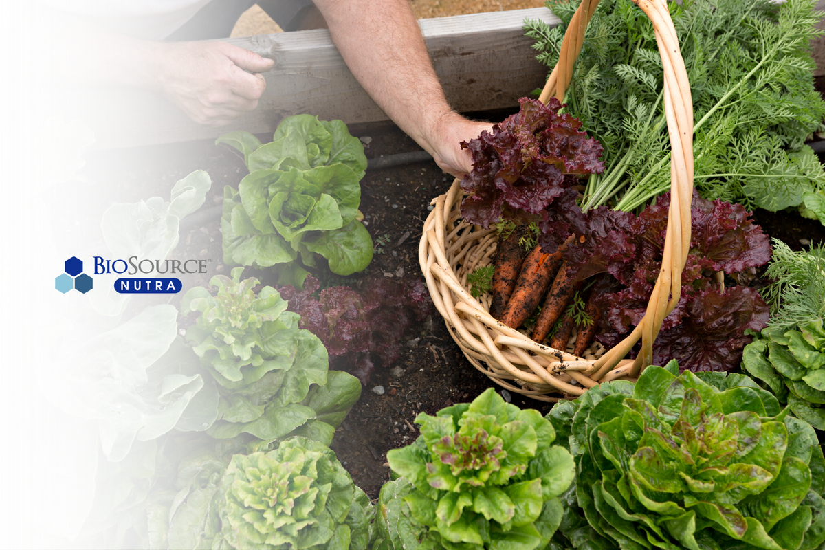 Sustainable Gardening: Quick Tips for Starting a Small, Nutritious Gar – BioSource Nutra