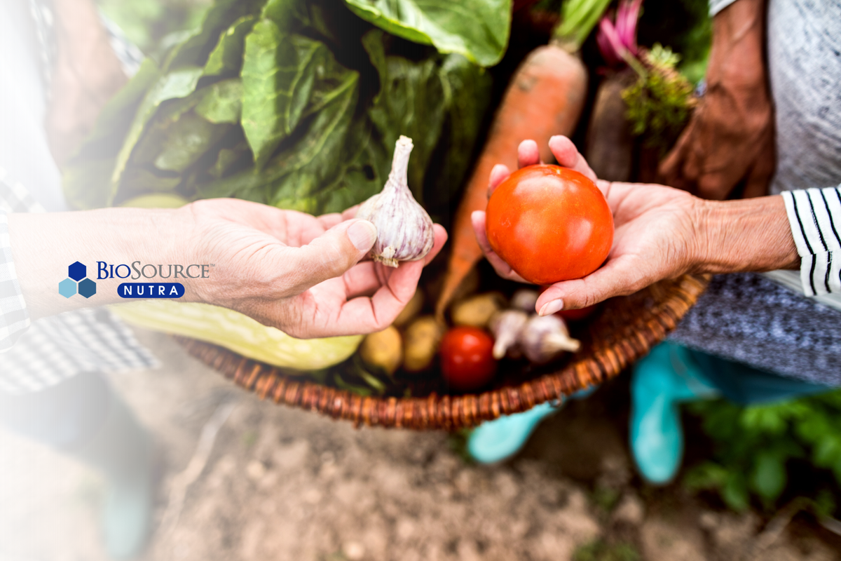 Radiant Recipes: Nourishing Dishes for Sunlight-Boosted Wellness ...