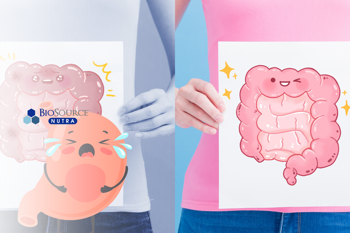 Gut Health 101: Start Your Journey and Master Your Microbiome ...