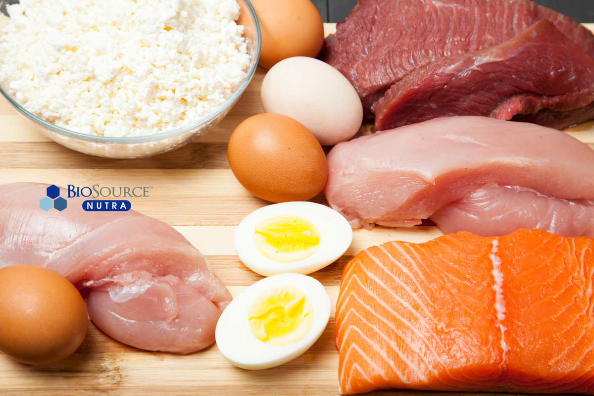 5 High-Protein Recipes to Boost Your Health – BioSource Nutra